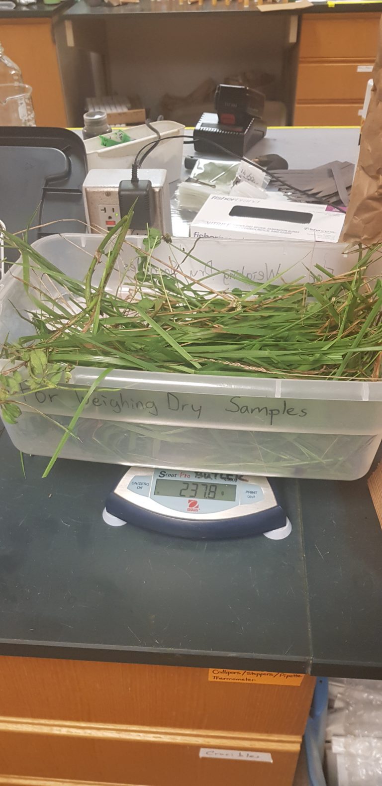 Forage preparation – David Farrell