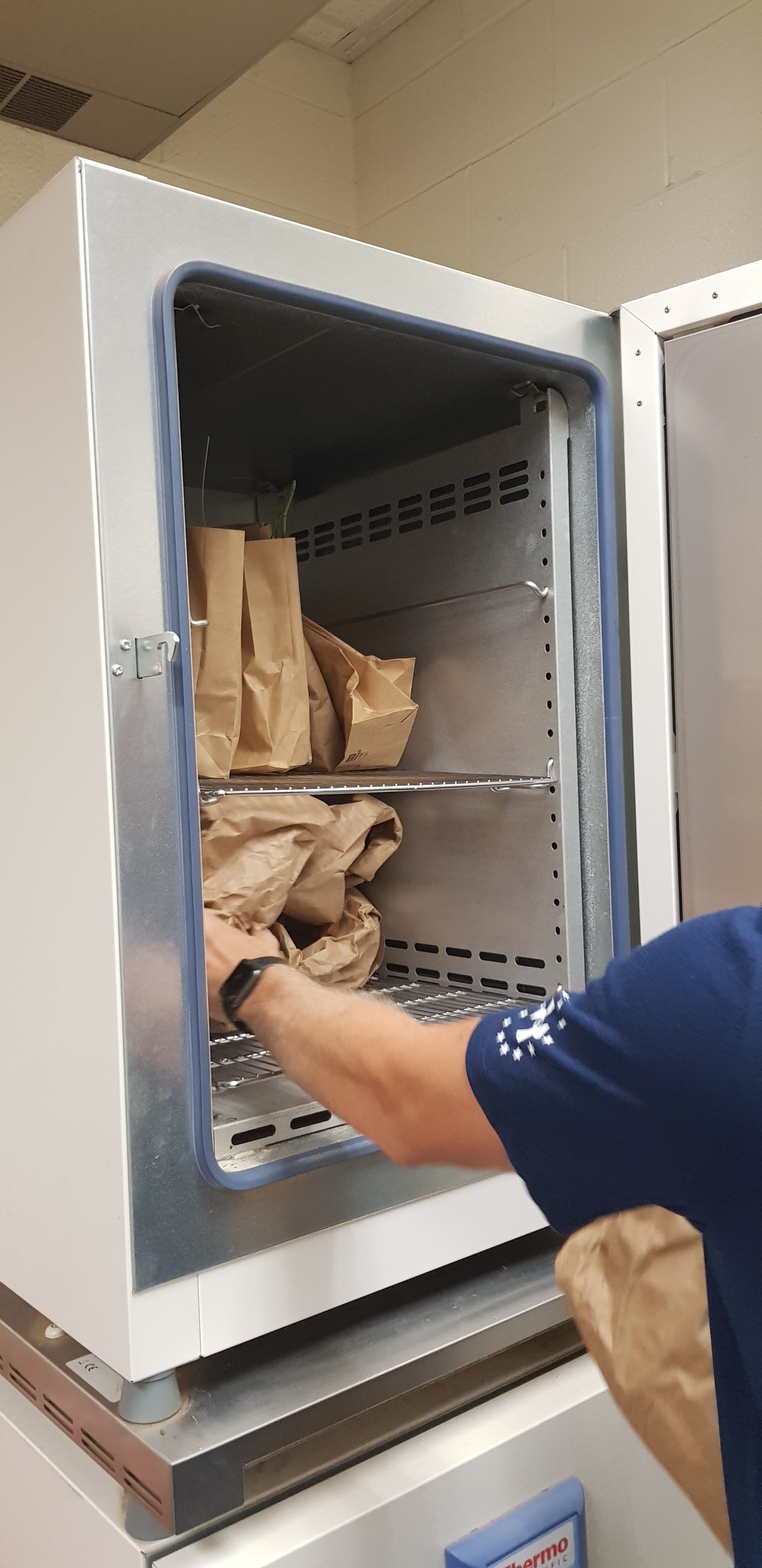 Forage preparation – David Farrell