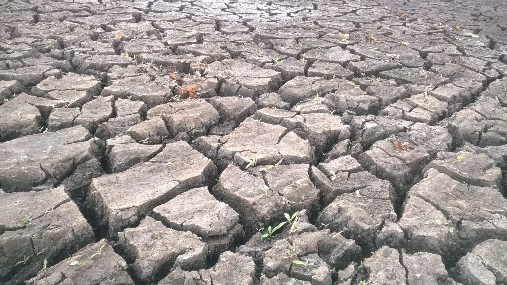 Climate Smart Agriculture; quick facts about Malawi – Decolius ...