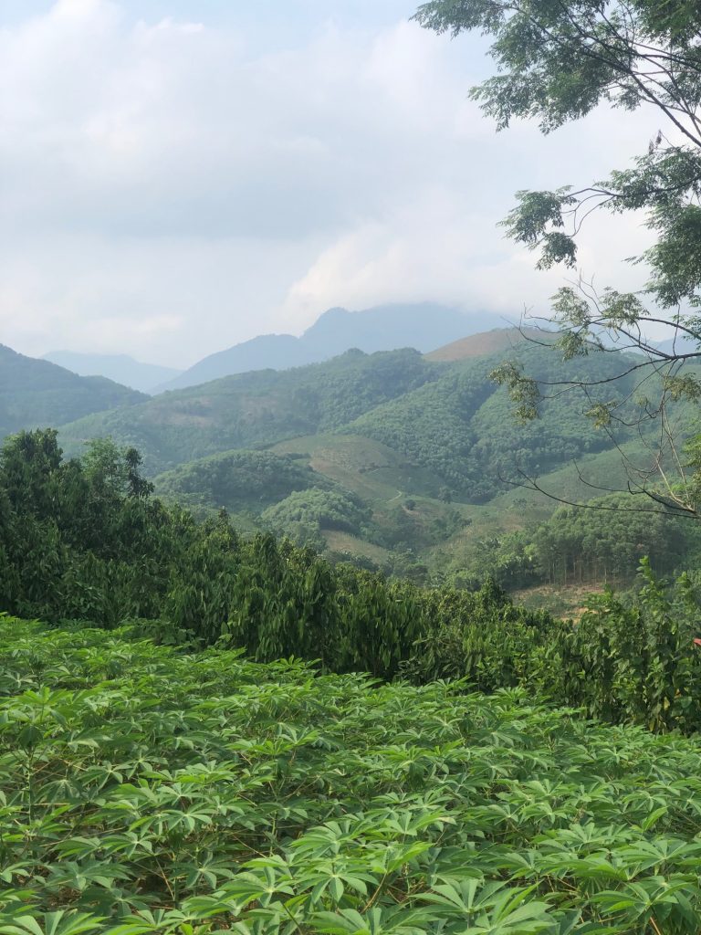 Hẹn gặp lại Hà nội – Kate Greaney